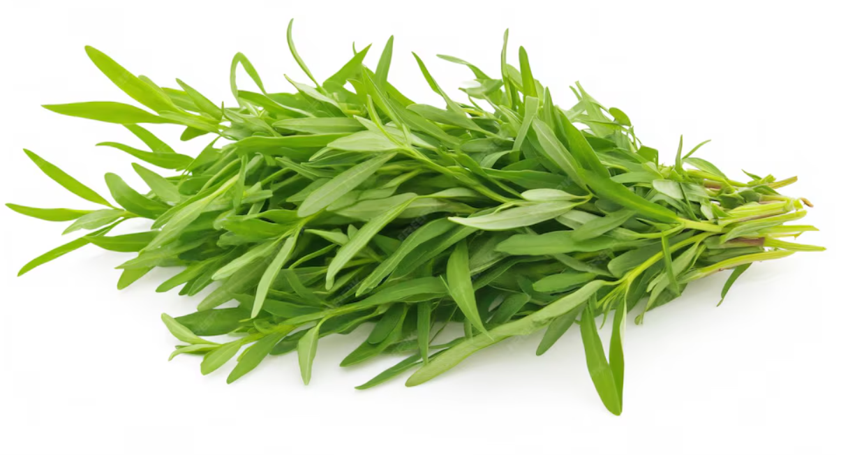 Tarragon